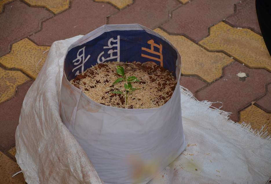 Haritamritam Launched in Pune on Environment Day | Ayudh - Awaken Youth ...